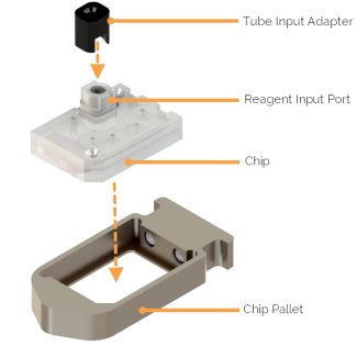 Setting Up MANTIS for a Dispense