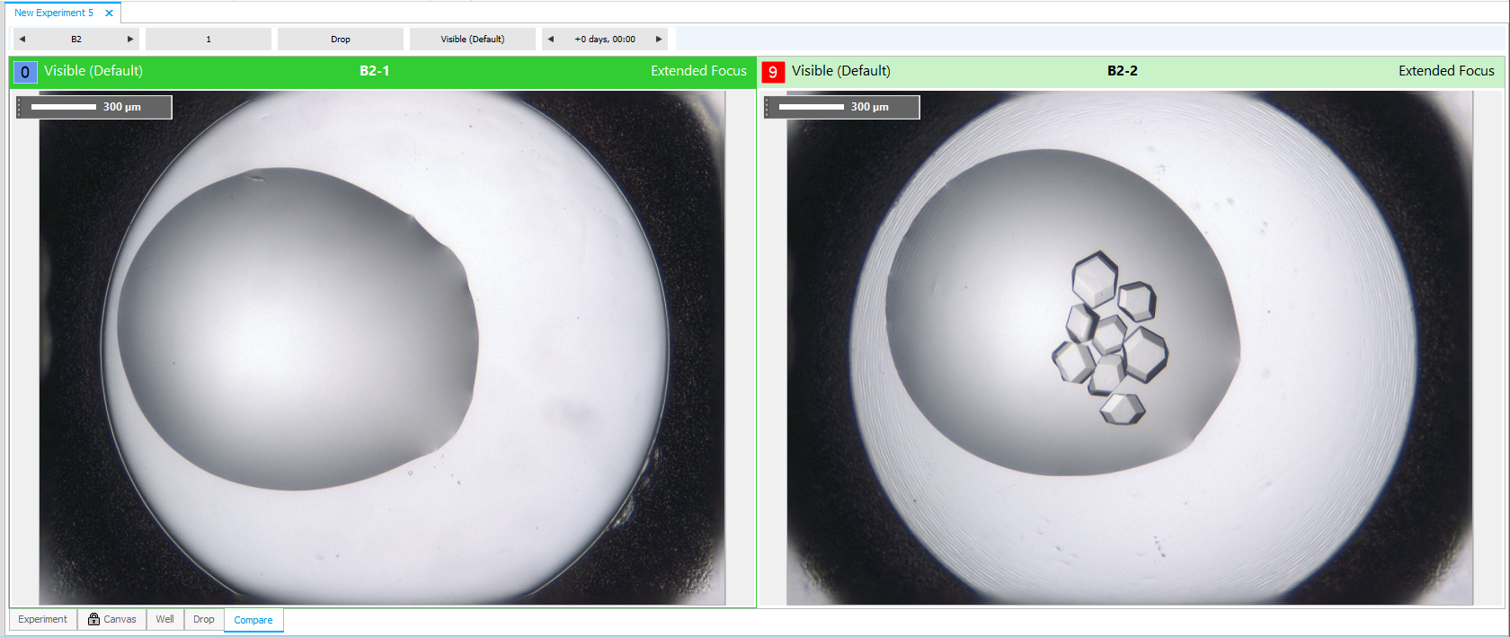 Viewing and Scoring Images in Rock Maker