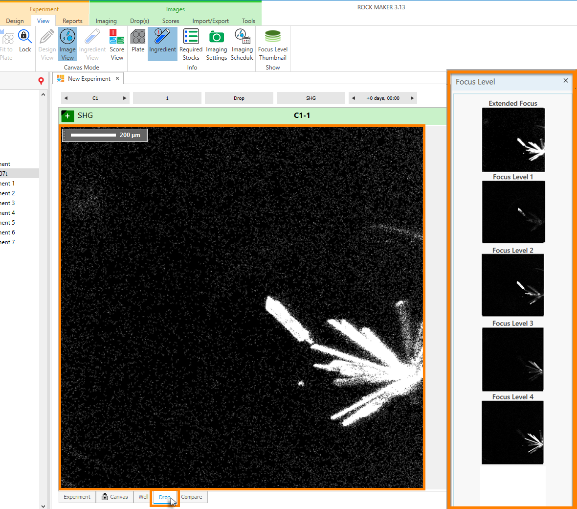 Viewing Focus Level Images — ROCK MAKER 3.18 documentation