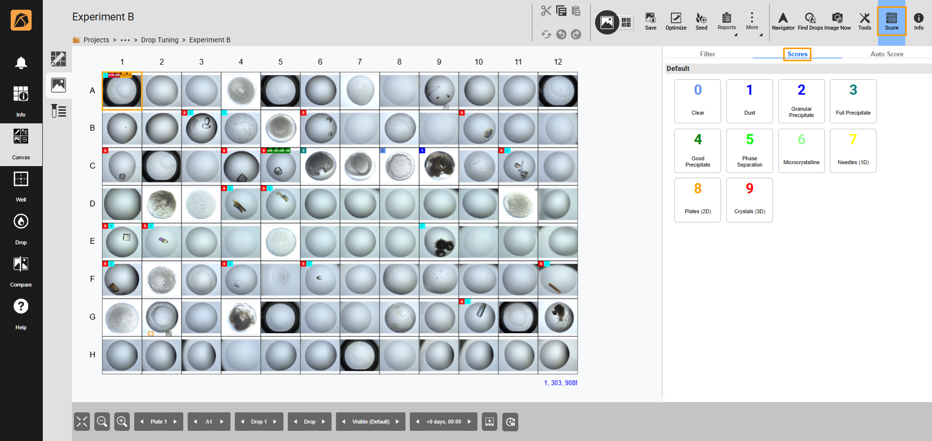 Creating an Iterative Screen Optimization (ISO) Experiment — ROCK MAKER ...