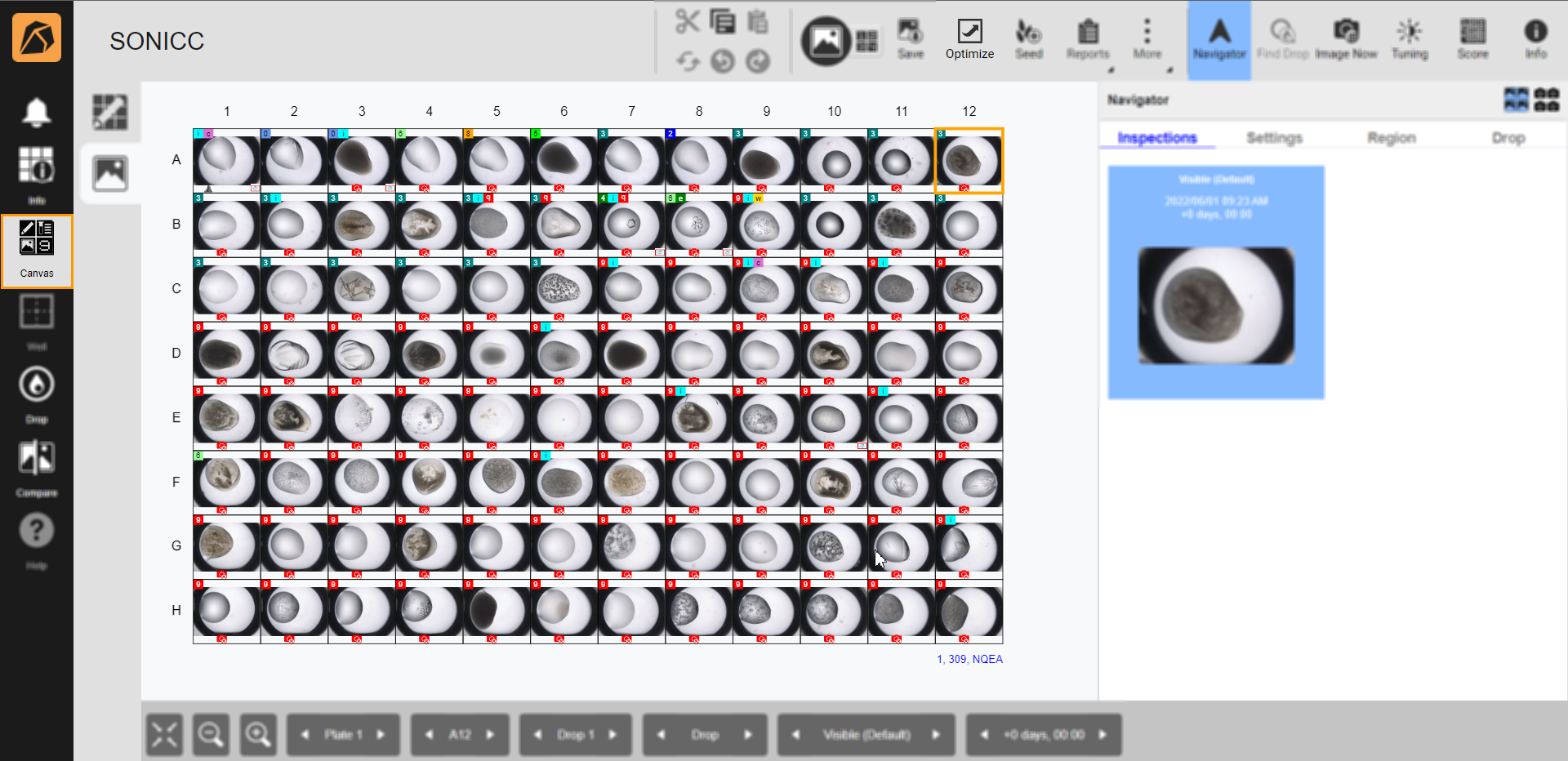 Creating An Iterative Screen Optimization Iso Experiment — Rock Maker 5043