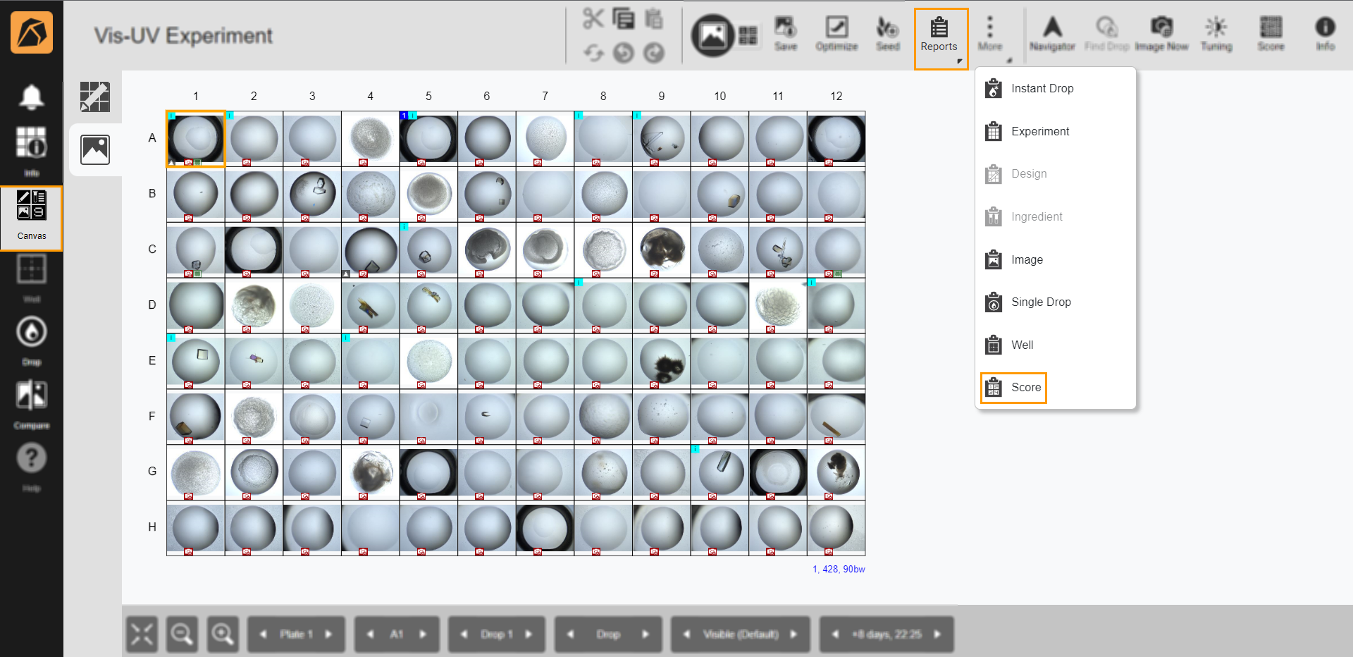 Score Report — ROCK MAKER 4.5 documentation