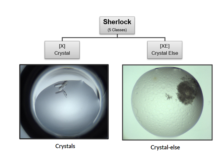 Scoring Images Using Auto Scoring Models — Rock Maker 46 Documentation